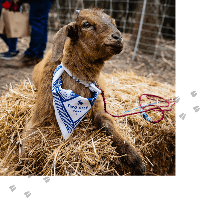 Location - Two Step Farm