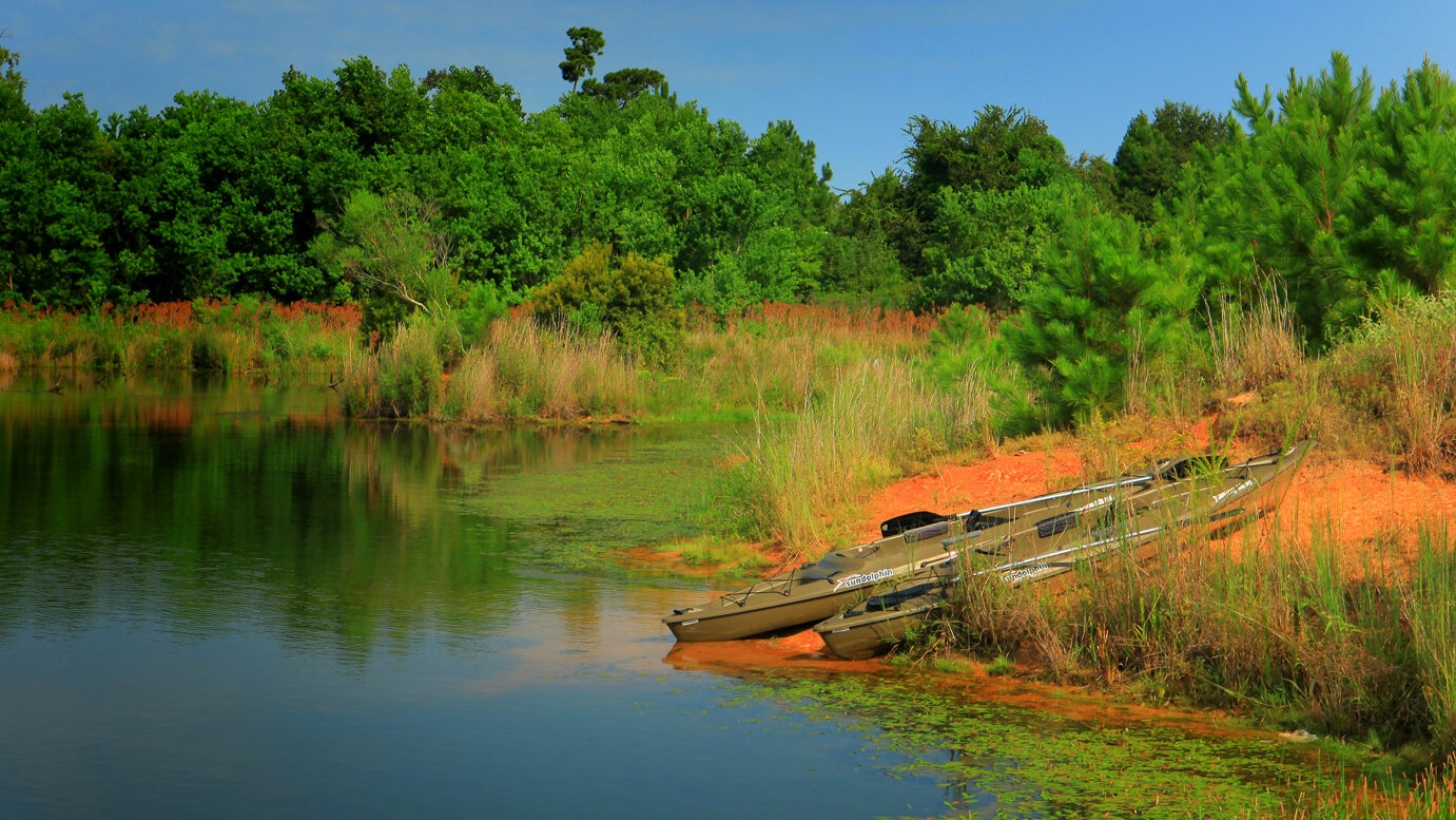 Home - Two Step Farm