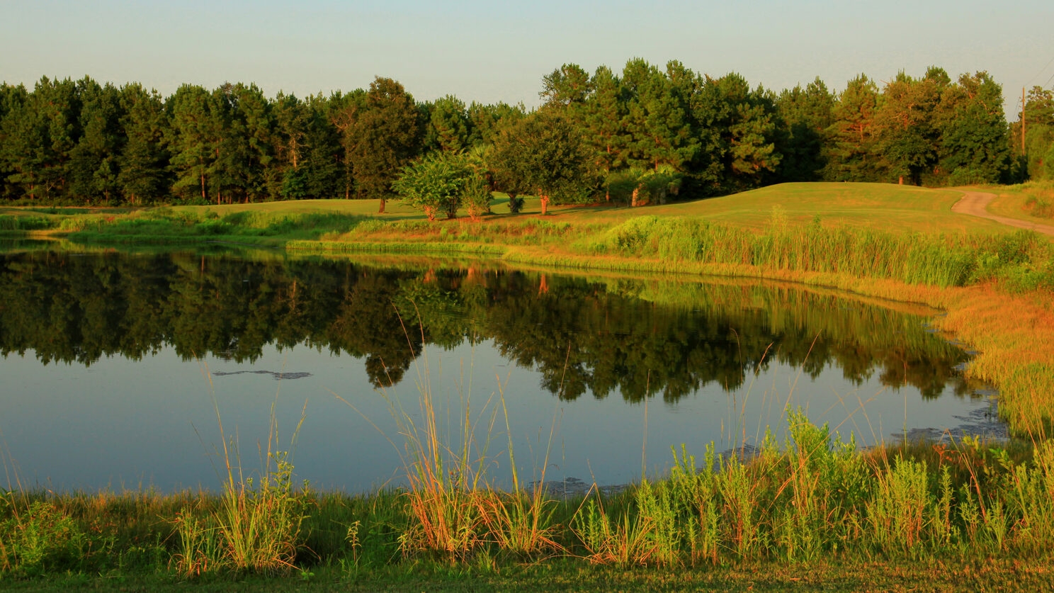 Home - Two Step Farm