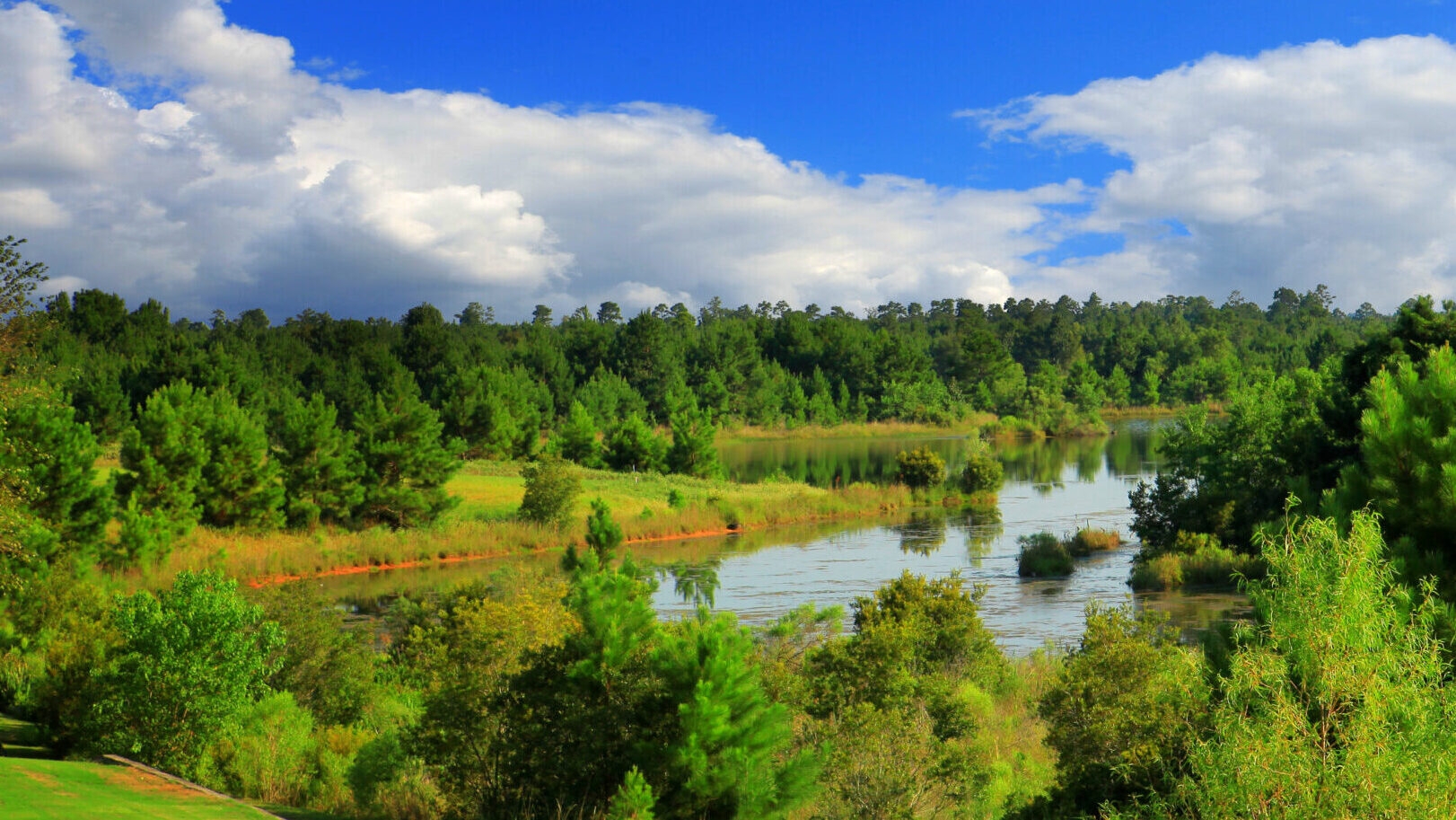 Home - Two Step Farm